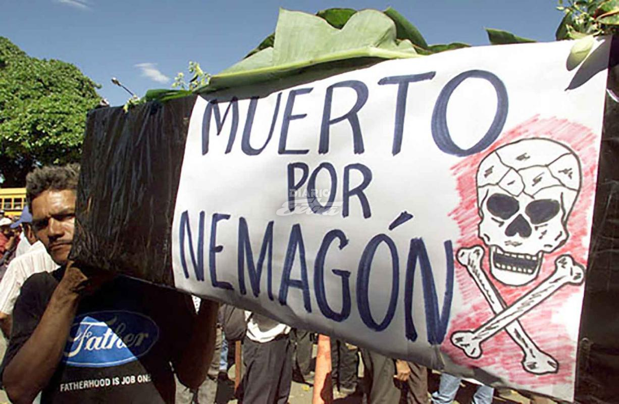 Banane e pesticidi. Il Governo della Costa Rica indennizza le vittime ...