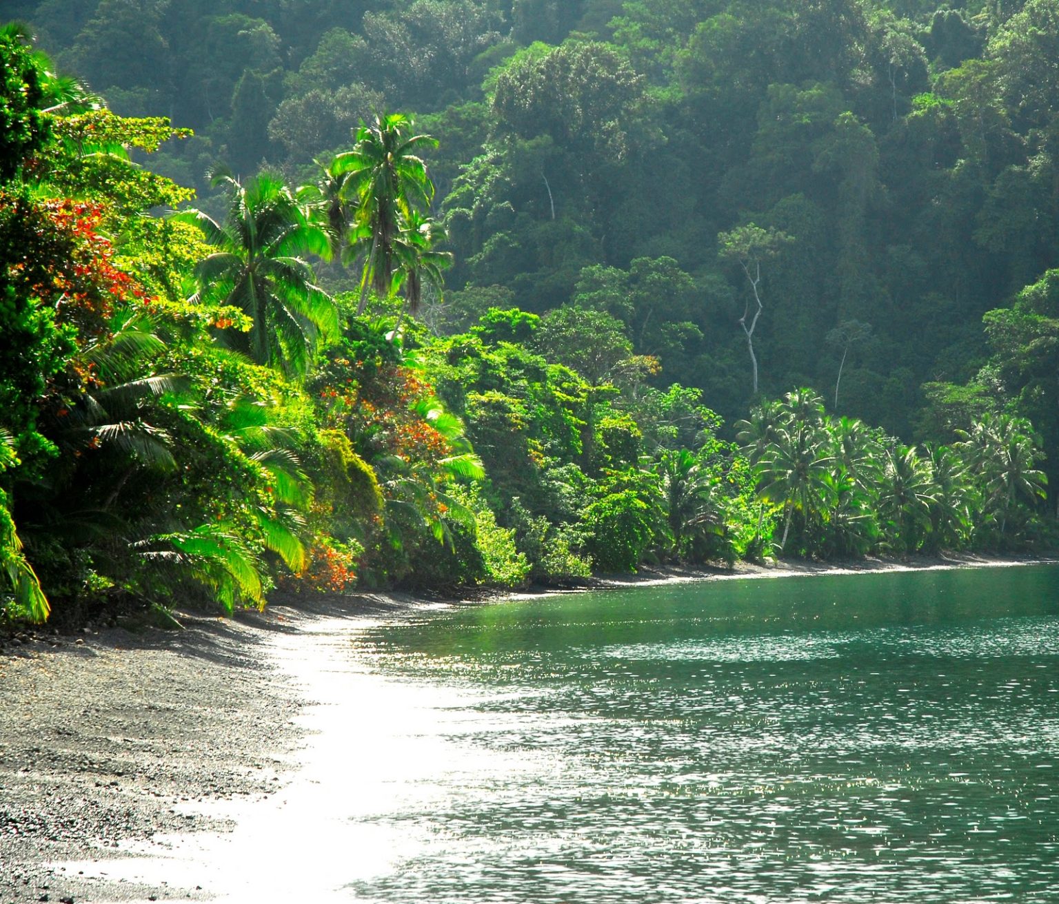 I parchi naturali - Italiani in Costa Rica